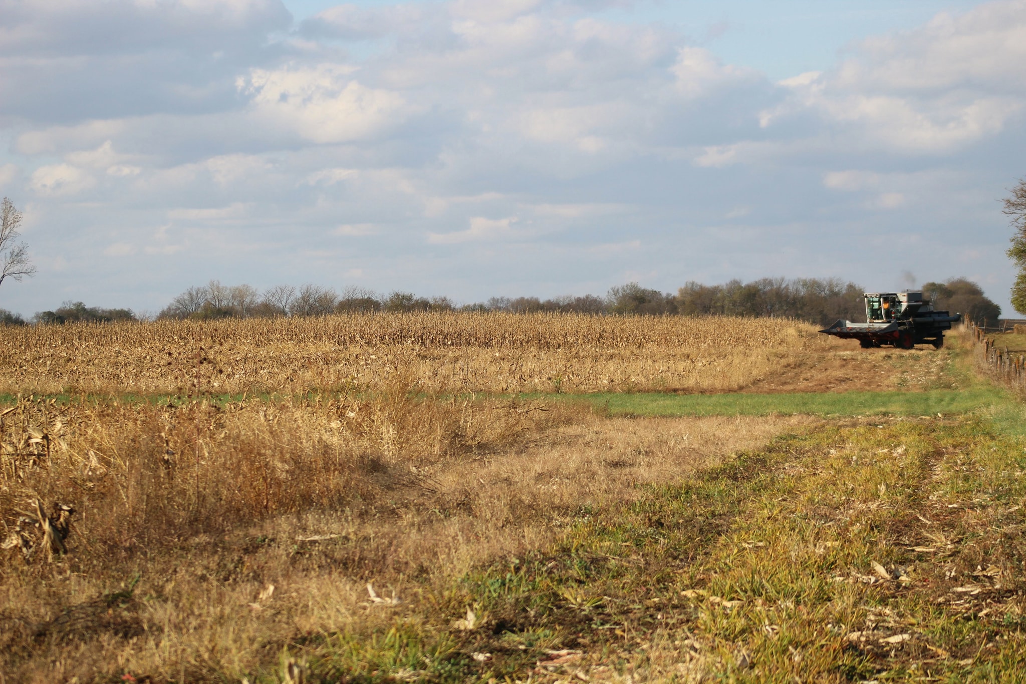 MOA Member Feature: Five Star Family Farms – Missouri Organic ...