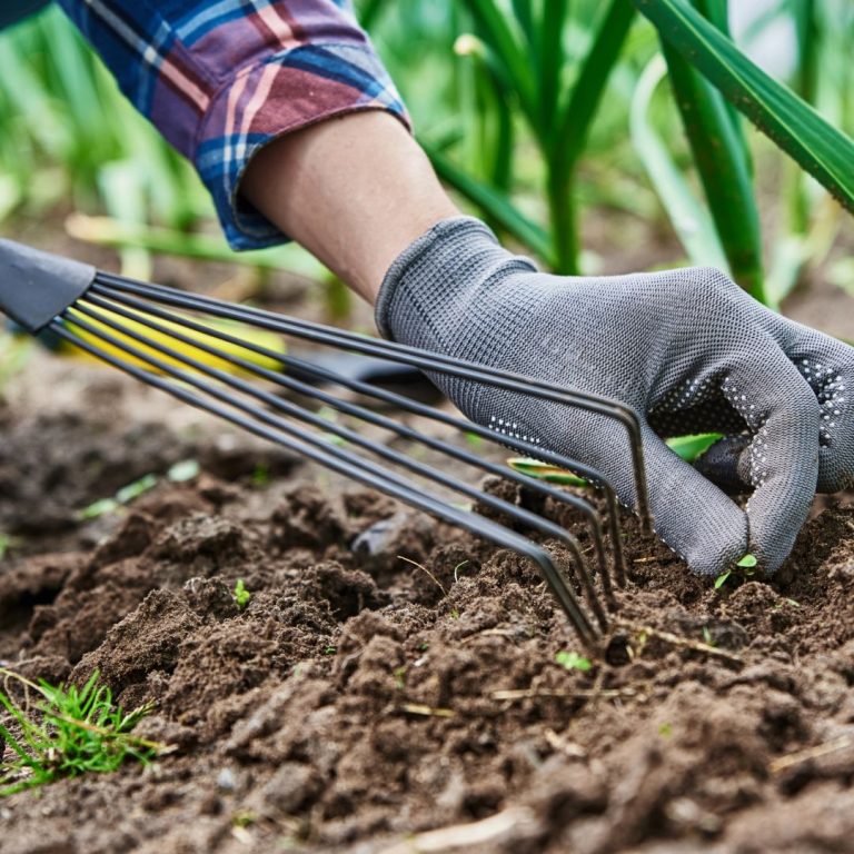 EQIP vs CSP: Which USDA Conservation Program Is Right for You ...